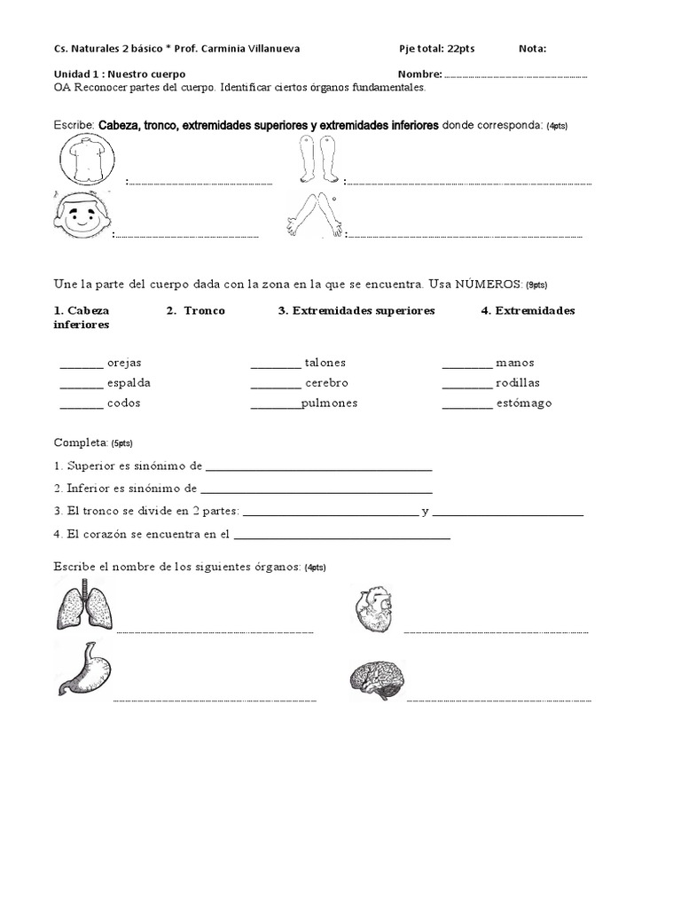 1guia csNAT 2bas CUERPO | PDF