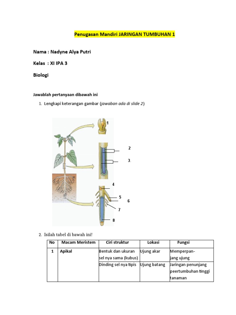 Nadyne Alya Putri XI IPA 3 Biologi | PDF