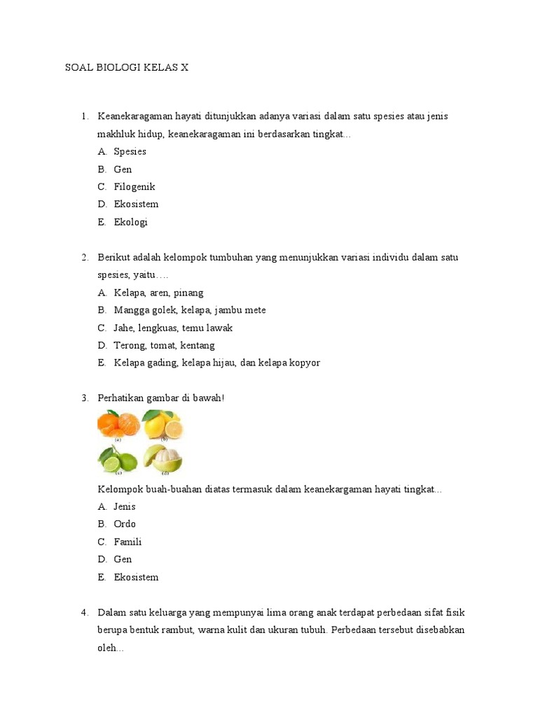 Soal Biologi Kelas X | PDF