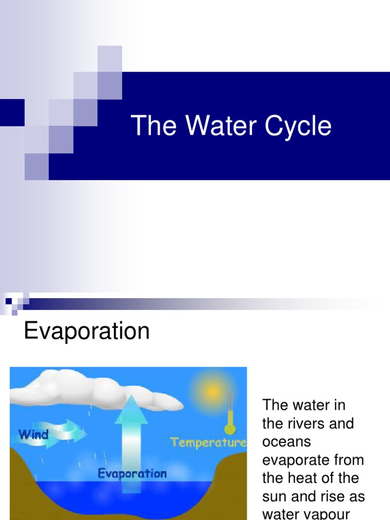 The Constant Motion of Water: Exploring the Key Processes of the Water ...