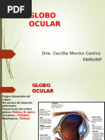 Capas de La Retina | PDF | Retina | Percepción visual