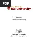 Types of Legs in Insects | PDF