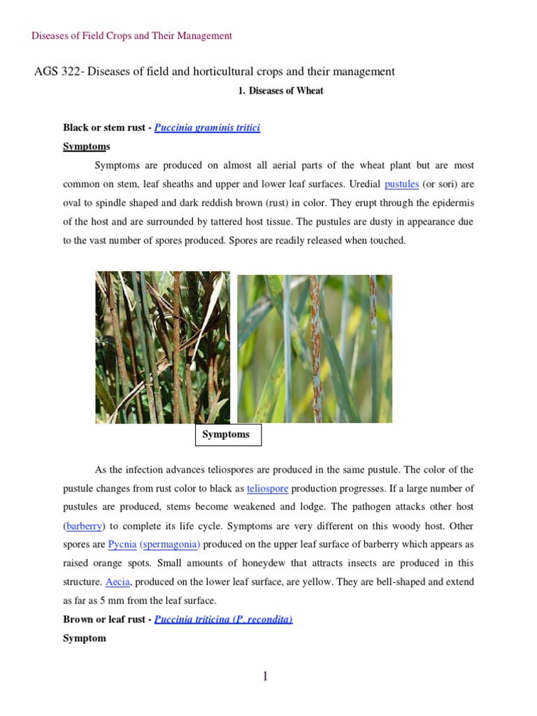AGS 322 Diseases of Field Crops and Their Management | PDF | Organisms ...