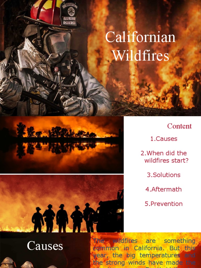 Wildfires | PDF | Wildfire | California