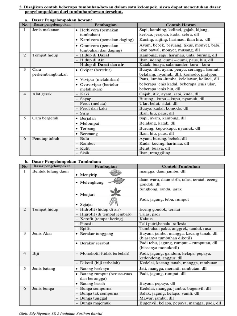 Pengelompokan Hewan Dan Tumbuhan | PDF
