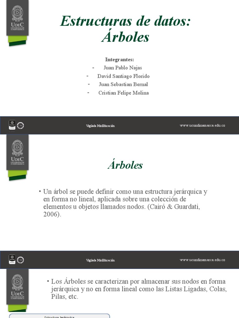 Estructura de Datos Arboles | PDF | Algoritmos y Estructuras de Datos | Ciencias de la Computación