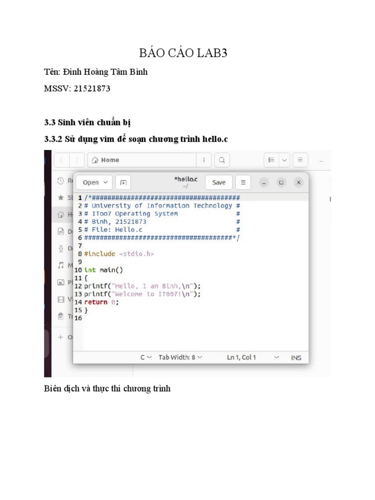 Báo Cáo Lab3 | PDF