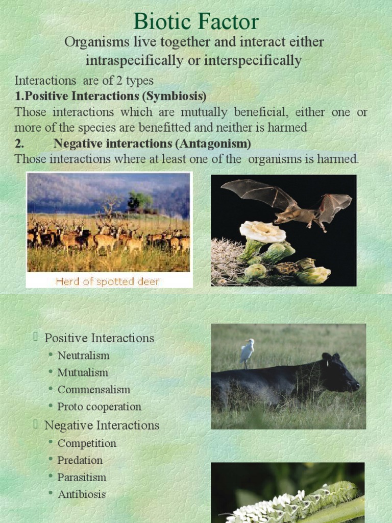 Biotic Factor Smitha | PDF | Symbiosis | Plants