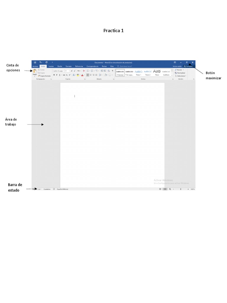 PRACTICA 1 Leti Y Sara | PDF