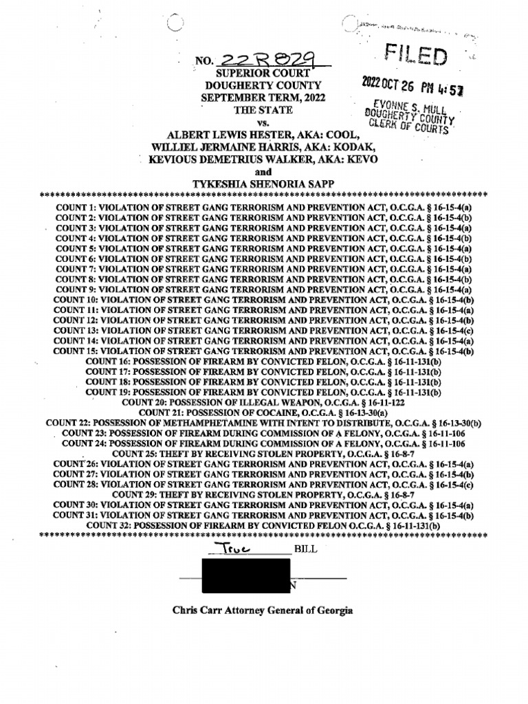 10.26.22 Hester Et Al Dougherty County Indictment | PDF