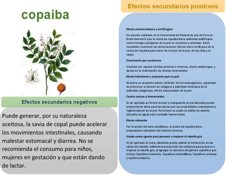 COPAIBA | PDF | Medicina CLINICA | Especialidades Medicas