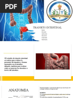 Transito Intestinal Estudios Especiales RADIOLOGIA | PDF | Intestino ...