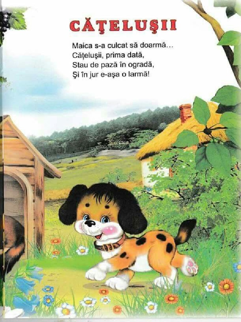 9fa1e9fa580a66f5025bafb3f782a031 | Pdf