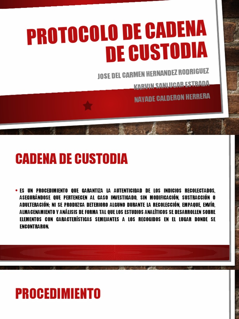 Protocolo de Cadena de Custodia | PDF | Ley común | Crímenes