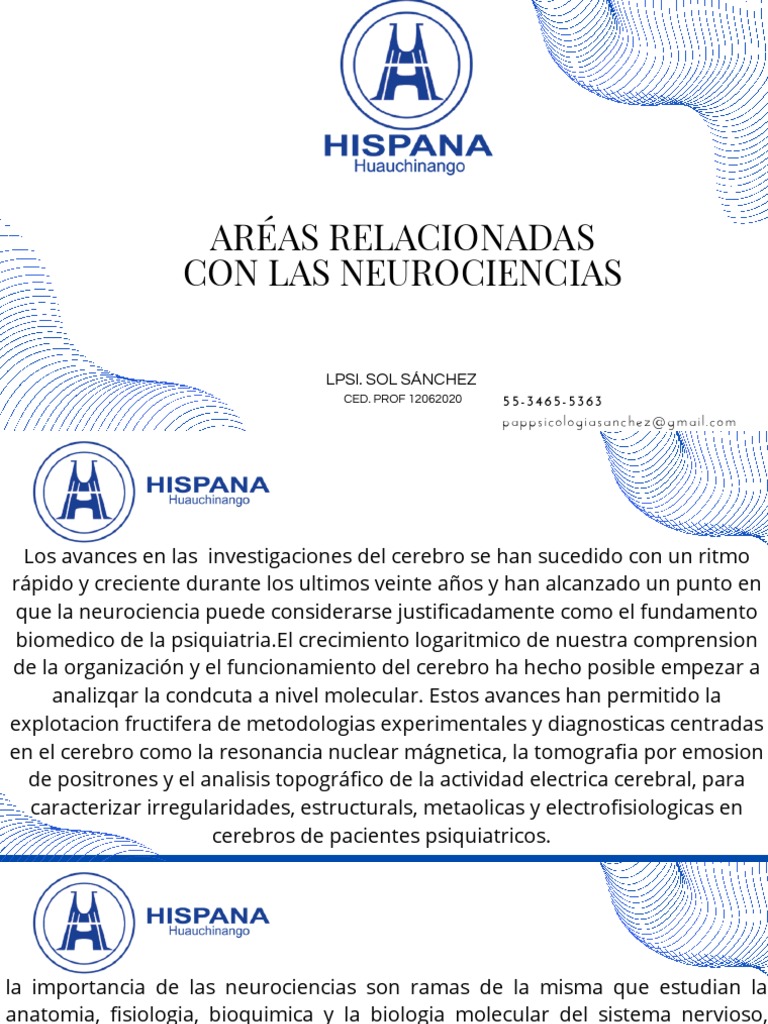 Areas de Las Neurociencias | PDF | Neurociencia | Cerebro