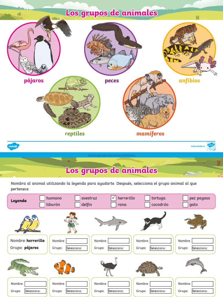 Es SC 383 PDF Interactivo Los Grupos de Animales - Ver - 1 | PDF