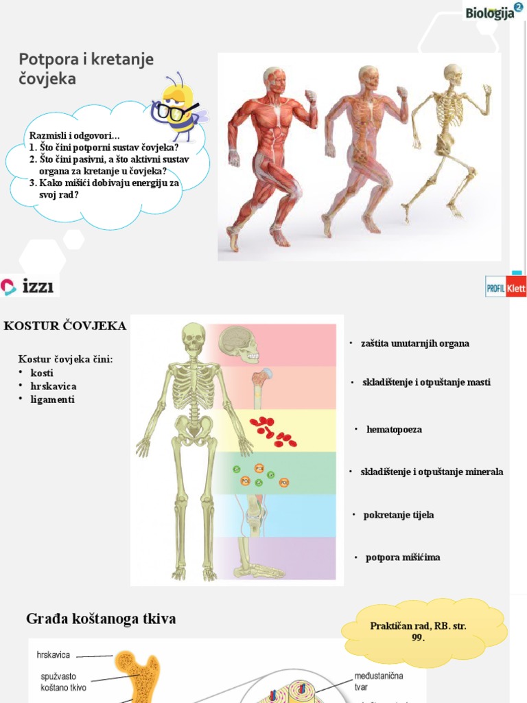 5.2. Potpora I Kretanje Covjeka | PDF