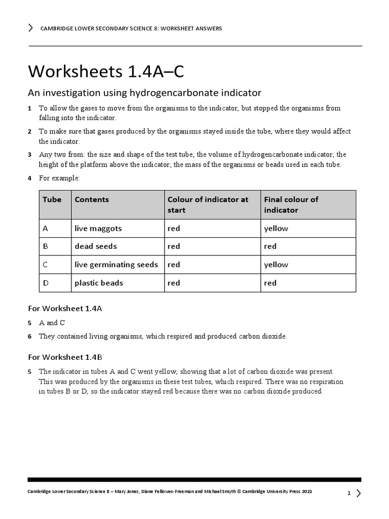 Lower Secondary Science 8 Worksheet Answers | PDF | Solubility | Atoms