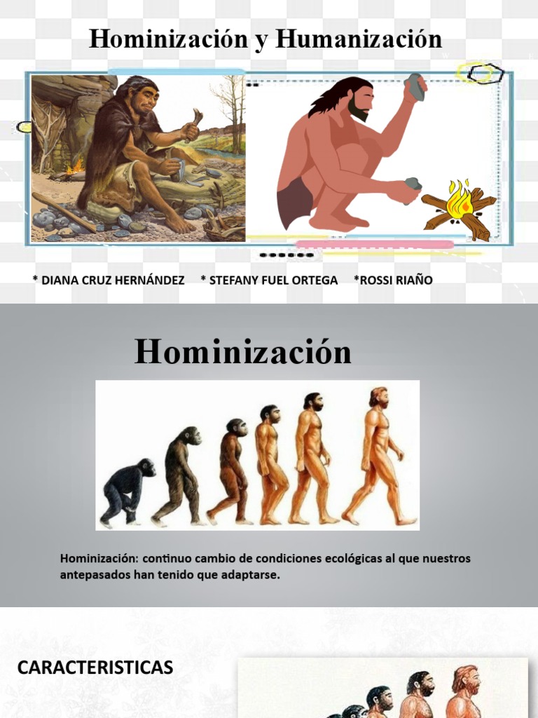El proceso de hominización y humanización: la evolución de la especie humana desde sus orígenes ...