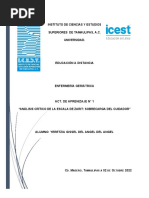 Mapa Conceptual Sobre El Área de UCI | PDF | Unidad de Cuidados Intensivos | Medicina de ...