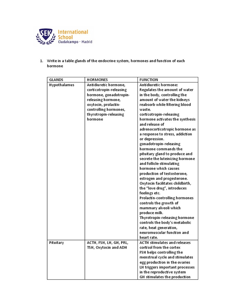 Endocrine System Activity | PDF | Thyroid | Endocrine System