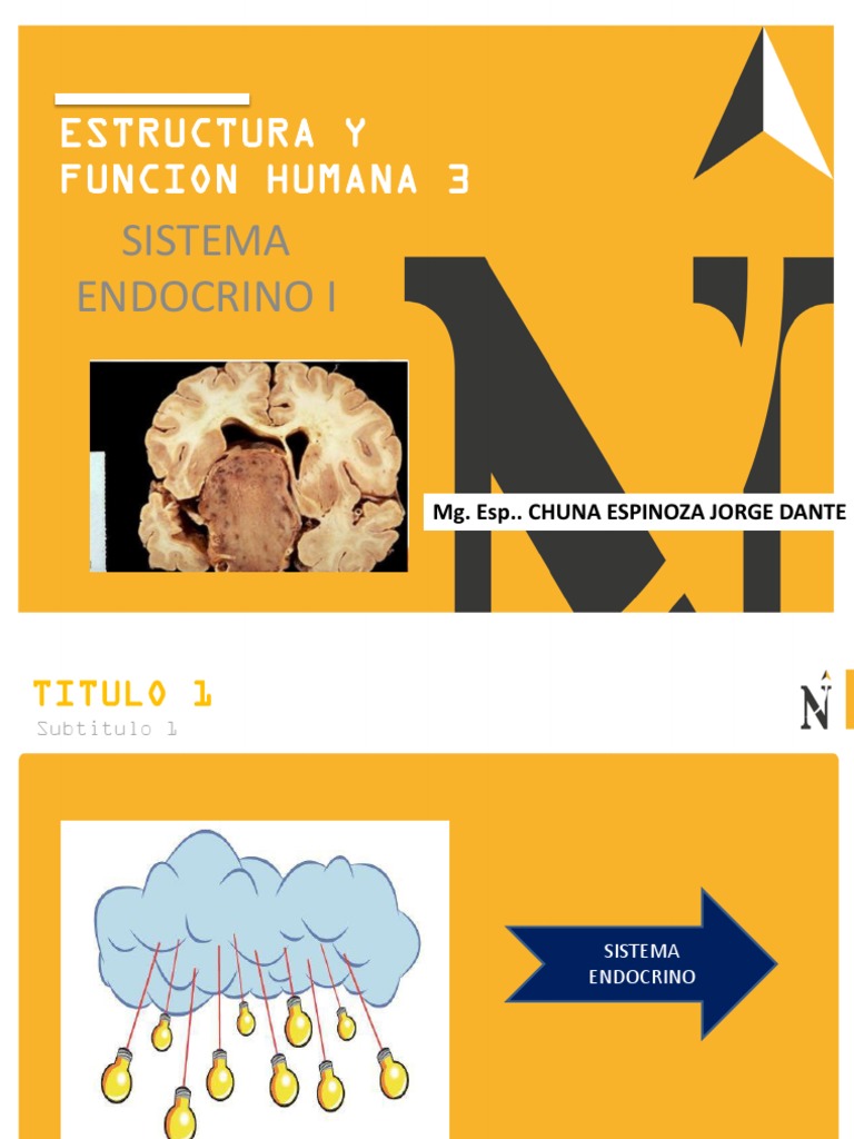 El sistema endocrino y las funciones de las hormonas | PDF | Hormona estimulante de la tiroides ...