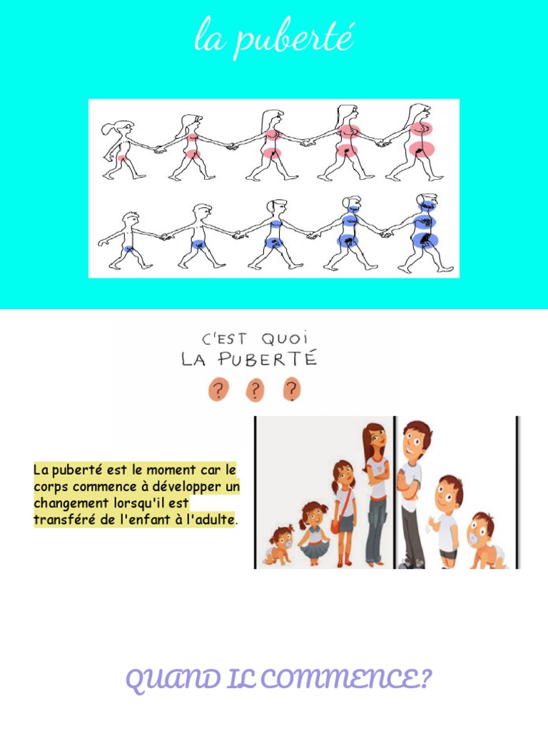 Changements de la Puberté: Physiques, Morphologiques et Psychologiques ...