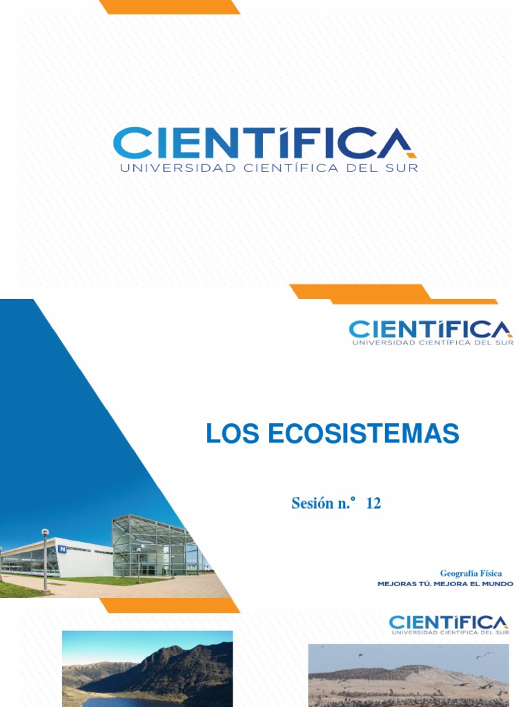 Clase 12 Los Ecosistemas | PDF | Ecosistema | Suelo