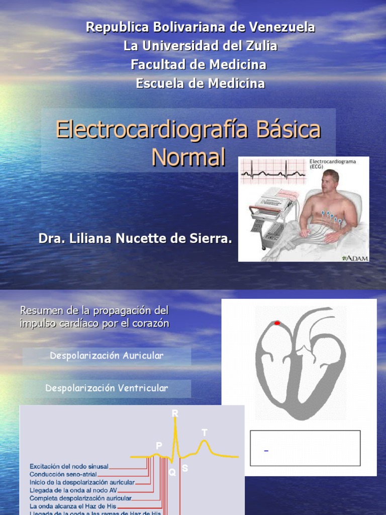 ECG Normal | PDF | Electrocardiografia | Anatomía humana