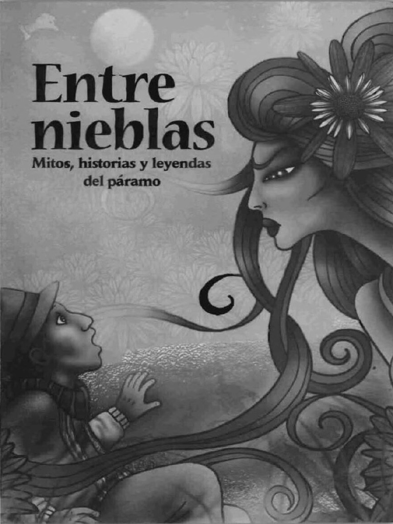 Lflacso Ppa Pubcom | PDF