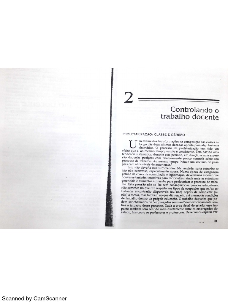Michael Apple | PDF