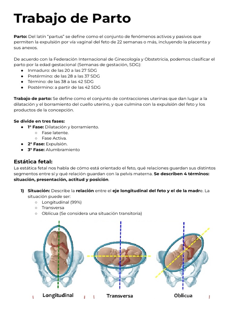Fases Y Evaluación Del Trabajo De Parto Pdf Parto Pelvis
