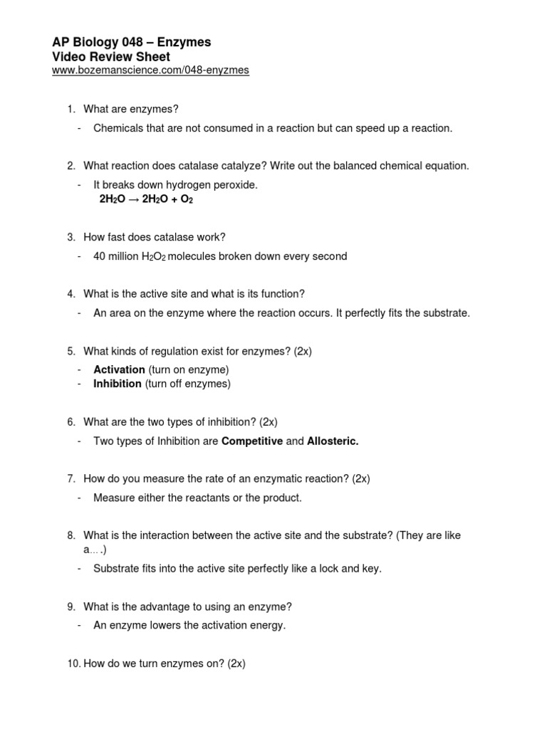 AP+Bio 048+Enzymes+Worksheet WL | PDF | Enzyme | Active Site
