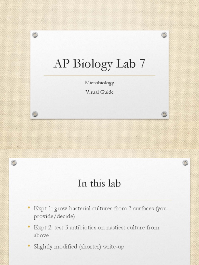 AP Biology Lab | PDF | Experiment | Agar
