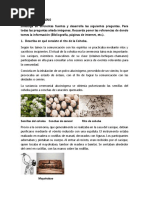 Las Creencias Religiosas de Los Taínos | PDF | Ciencias sociales | Historia