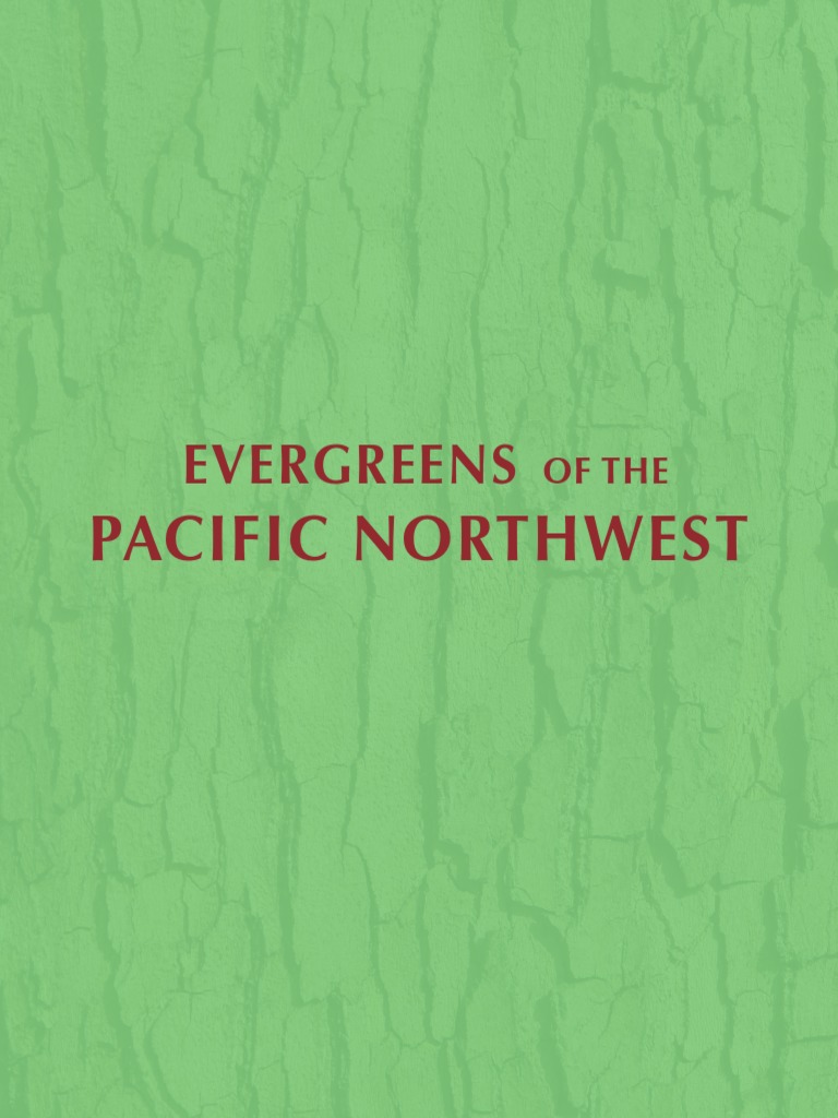 Trees of The PNW | PDF | Pine | Trees