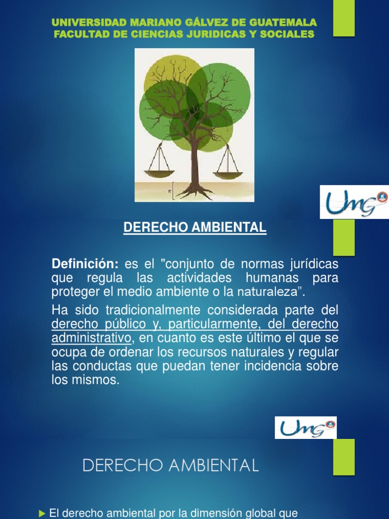 Principios Del Derecho Ambiental - DIAPOSITIVAS | PDF | Ley del Medio ...