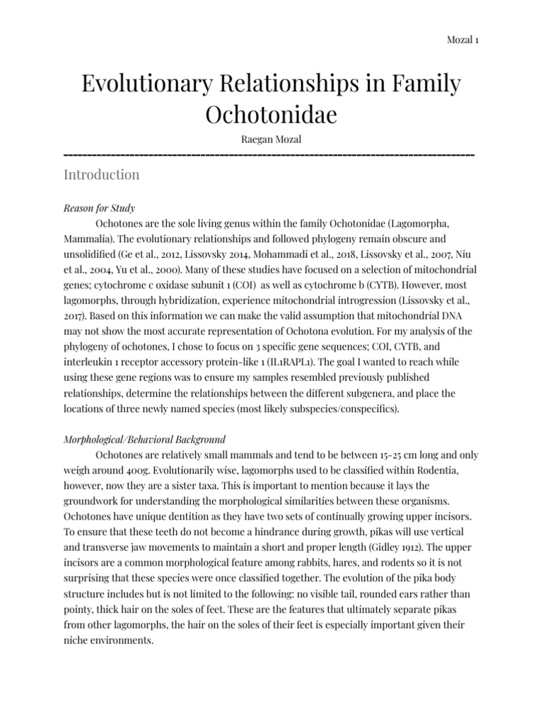 Ochotonidae Final Report | PDF | Phylogenetic Tree | Species