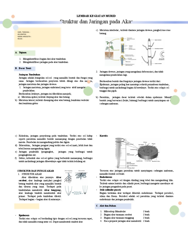 Lks Bab 4 Akar Akhwat | PDF
