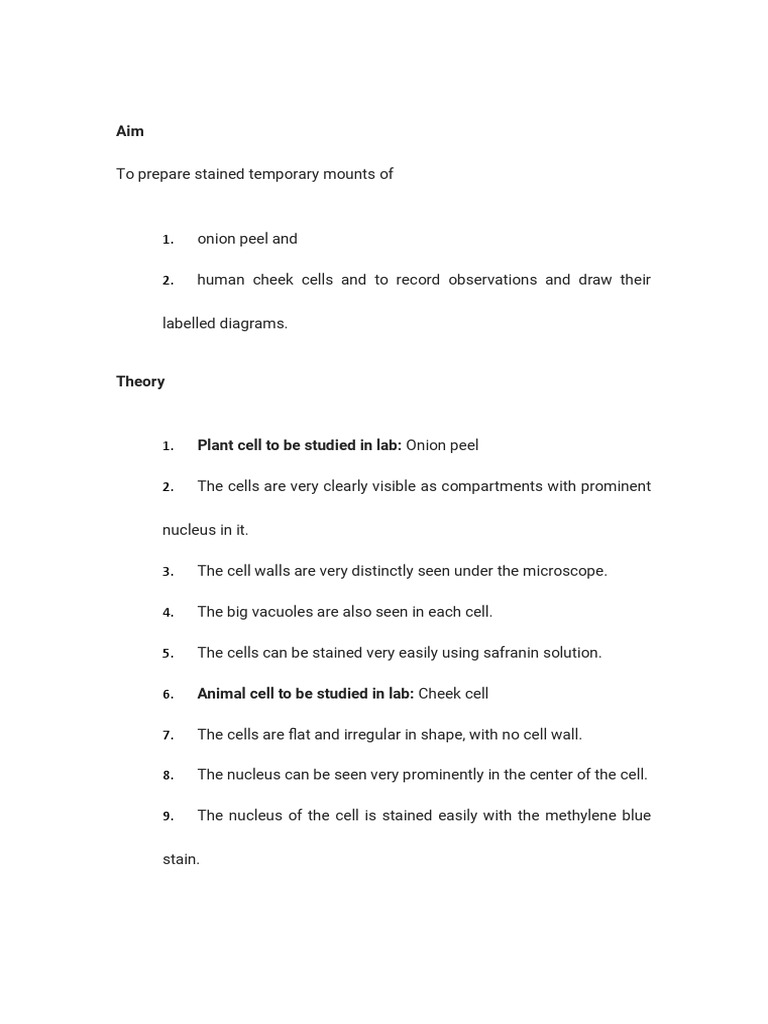 Cheek and Onion Peel Exp Xlass 9 | PDF | Cell (Biology) | Staining