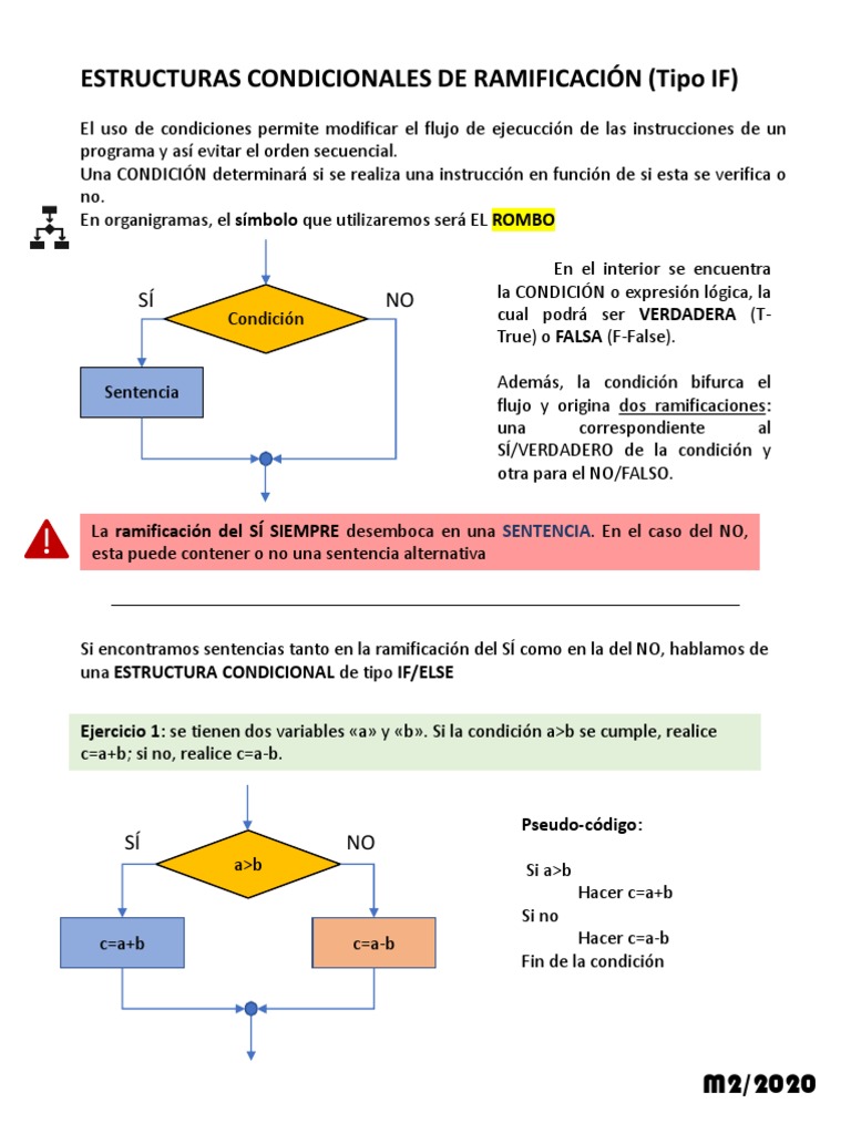 Estructuras Condicionales IF | PDF | Programación de computadoras ...