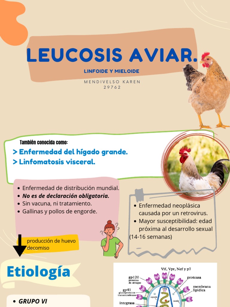 Leucosis Aviar | PDF | Virus | Retrovirus