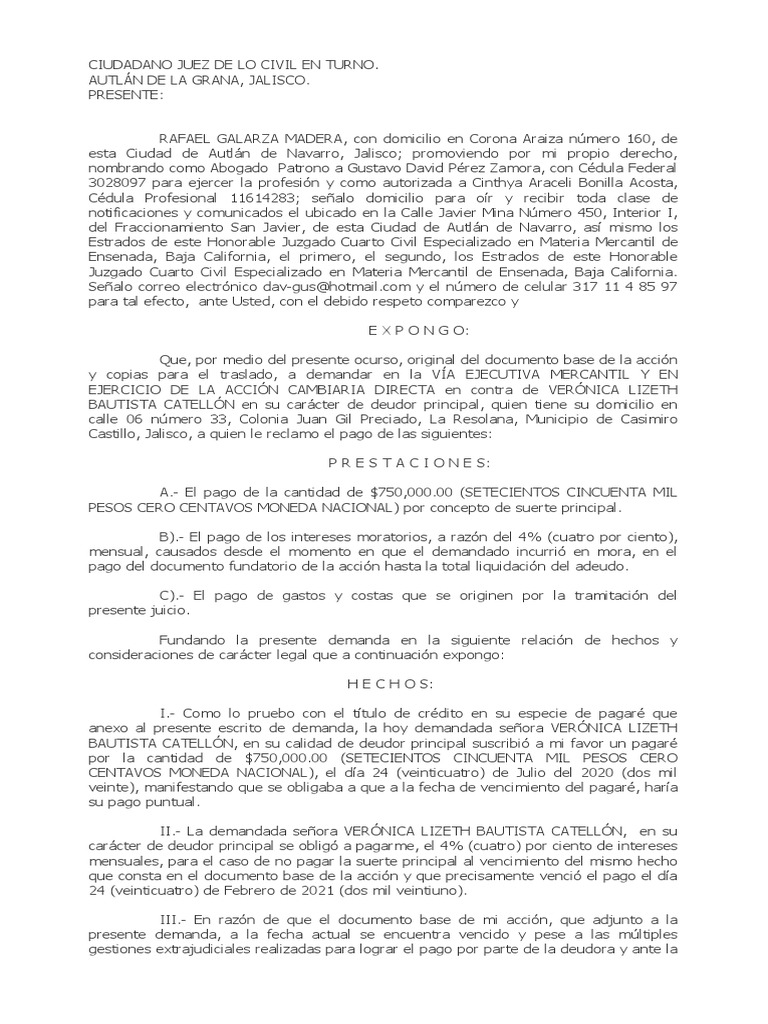 Demanda Mercantil Vero | PDF | Justicia | Crimen y violencia