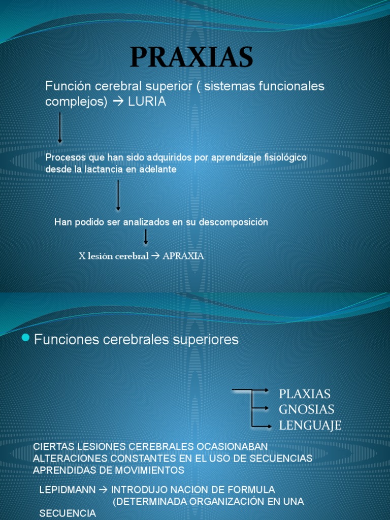 Praxias | PDF | Cerebro | Aprendizaje