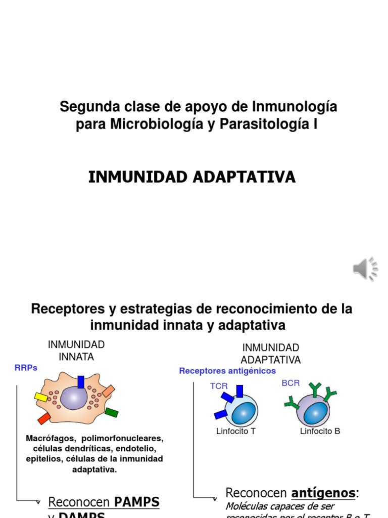 Introducción A La Inmunidad Adaptativa | PDF | Antígeno | Célula T