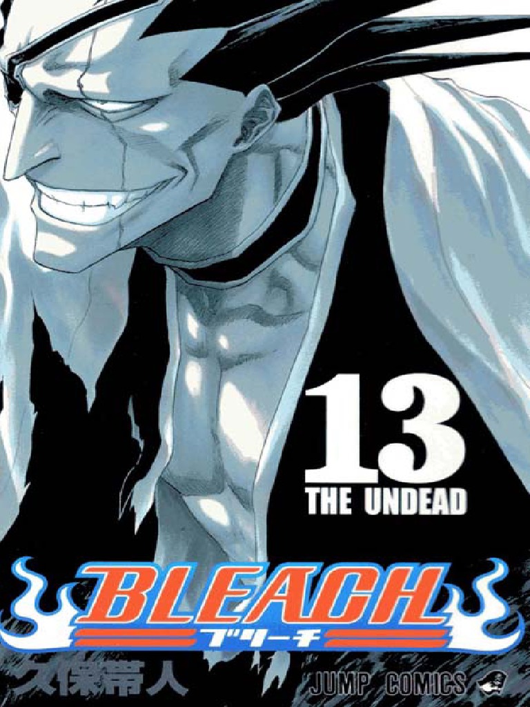 Bleach Vol. 13 | PDF