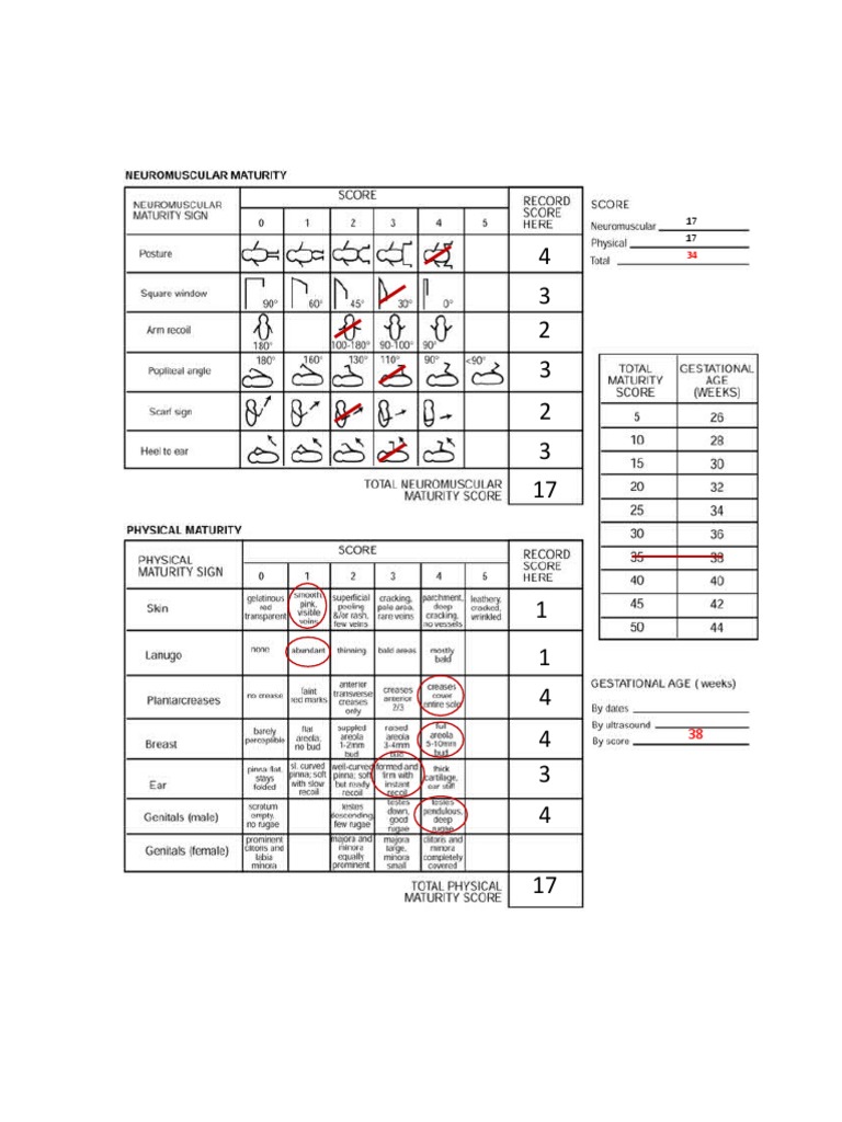 BALLARD-SCORING-FORM | PDF | Heart Rate | Preterm Birth