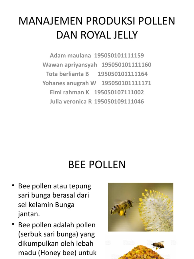 Manajemen Produksi Pollen Dan Royal Jelly | PDF