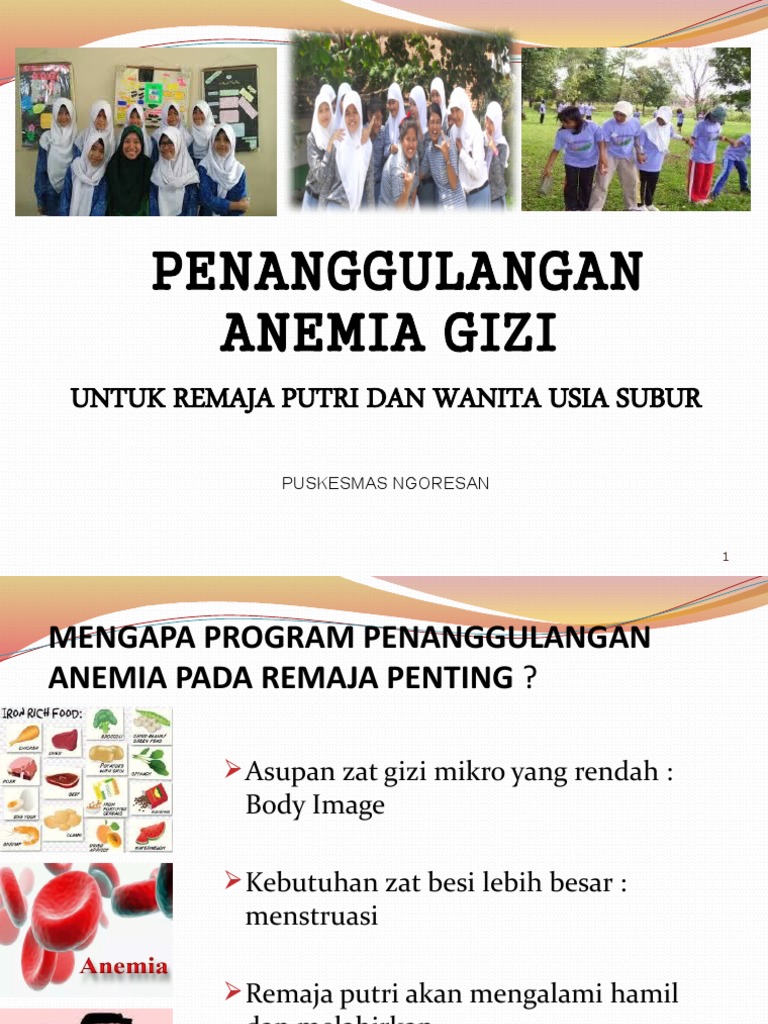 Penanggulangan Anemia Remaja Putri | PDF