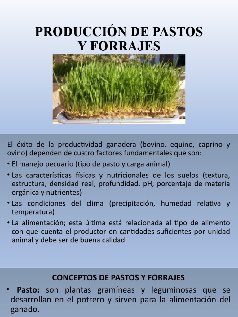 Pastos y Forrajes 1 | PDF